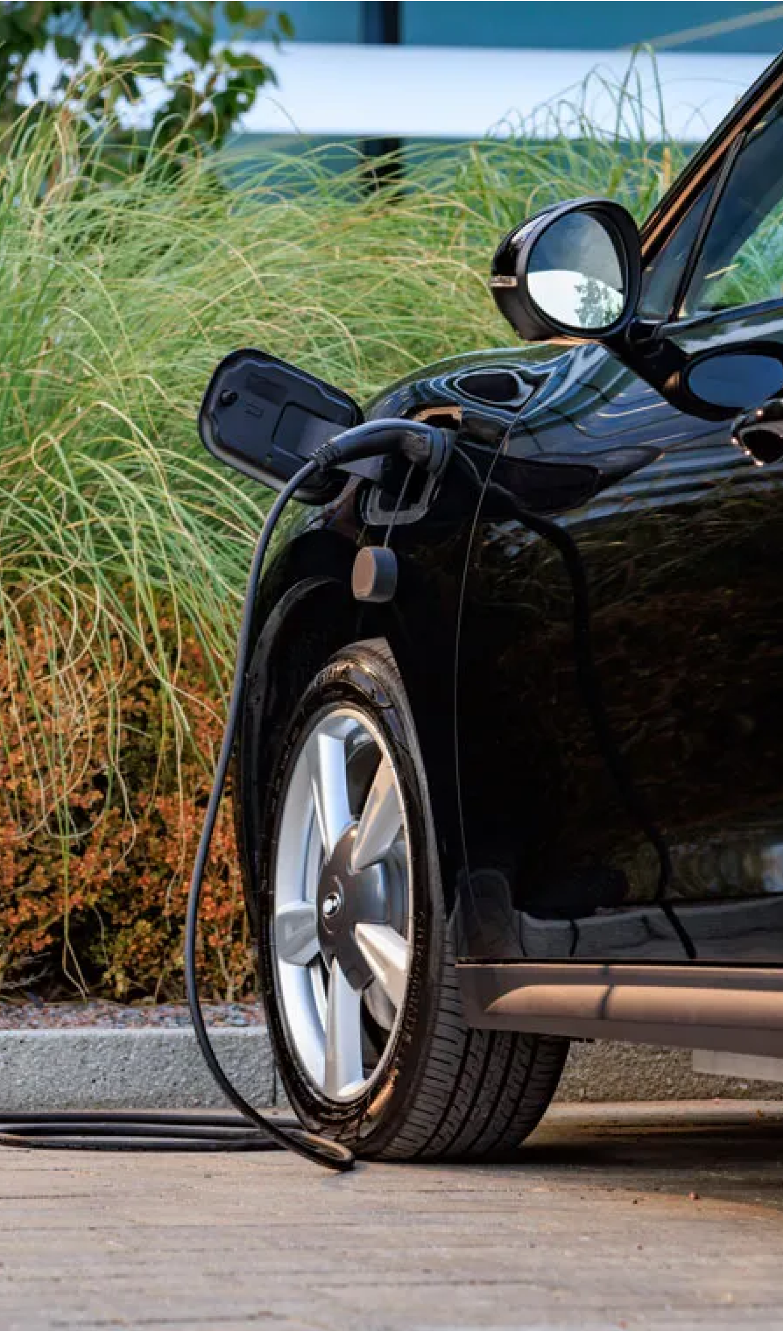 ORA Parts & Accessories