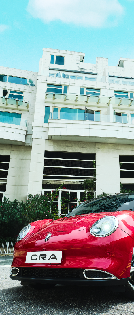 ORA FUNKY CAT | ORA Hong Kong